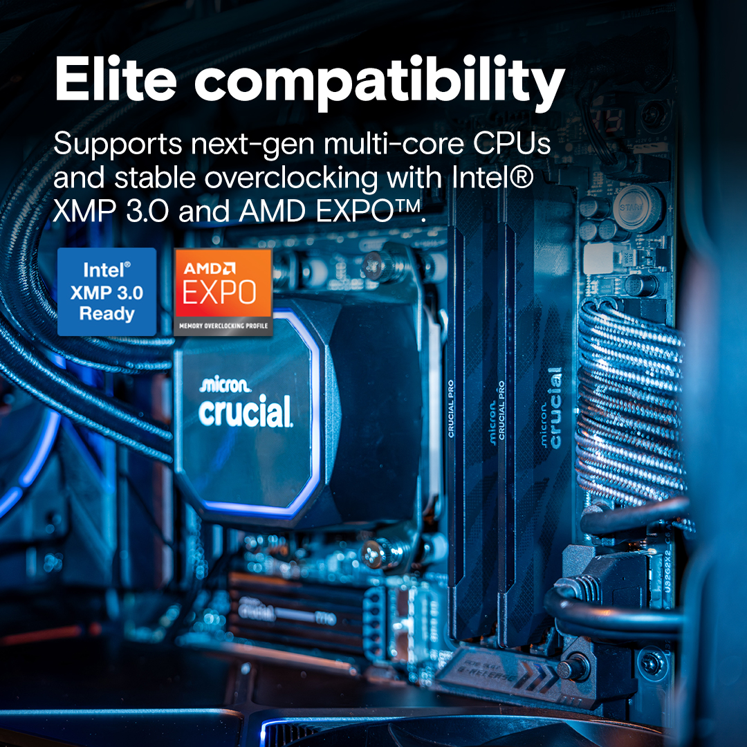 Crucial Pro 96GB Kit (48GBx2) DDR5-5600 UDIMM – Nimbus Shop