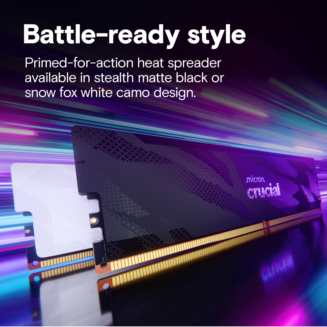 Crucial Pro 96GB Kit (48GBx2) DDR5-5600 UDIMM – Nimbus Shop